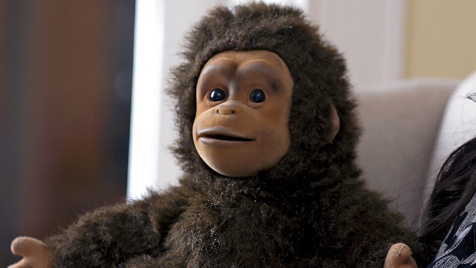 Monkey played by Monkey on - Official Website for the HBO Series | HBO.com